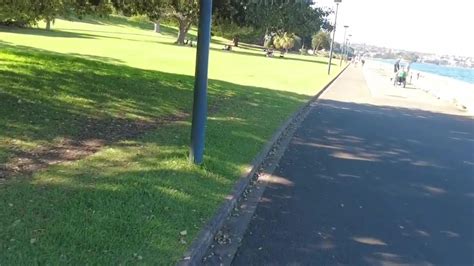 Decoding The Brawl Outside Adas Torah Synagogue One News Page Video