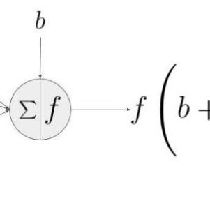 Single Neuron Activation 1 Download Scientific Diagram