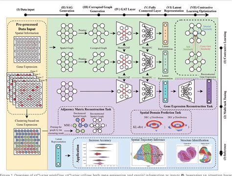 Figure 1 From Accurately Deciphering Spatial Domains For Spatially