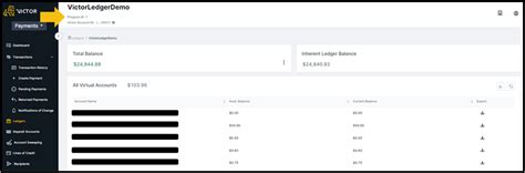 Ledger Virtual Accounts
