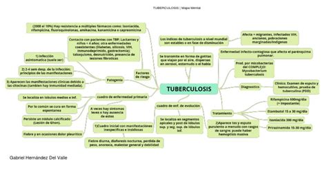 Tuberculosis Mapa Mental Pdf