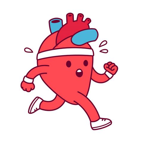 212200 Healthy Heart Stock Illustrations Royalty Free Vector