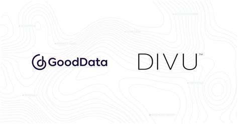 Gooddata On Linkedin Partnersolutions Analytics Businessintelligence Gooddata