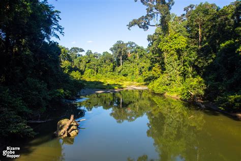 Experience The Wilderness Of Danum Valley In Gorgeous Borneo Rainforest