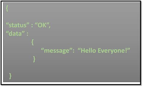 what is payload in api testing explained