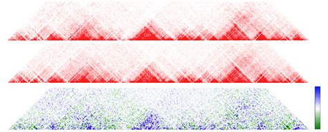 Genetics And Genomics