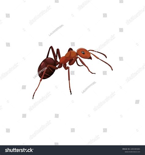 3d Ant Insect Vector Isometric Closeup Stock Vector Royalty Free 2281465681 Shutterstock