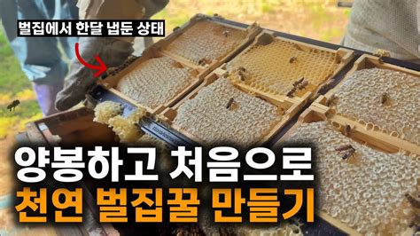 6년만에 처음으로 천연 벌집꿀을 만들어 봤습니다 Youtube