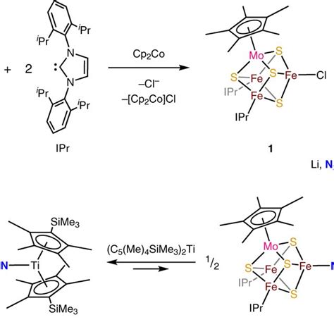 Dinitrogen Binding And Activation At A Molybdenum Iron Sulfur Cluster