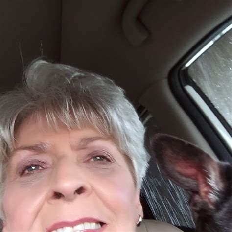 Dobbie Momma Says I Been A Choco The Macho Chihuahua Facebook