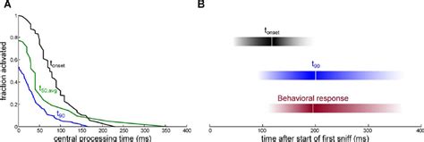 Dynamics Of Glomerular Activation Relative To Odorant Response Times Download Scientific