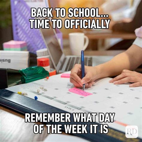 Funny Meme Quotes About School