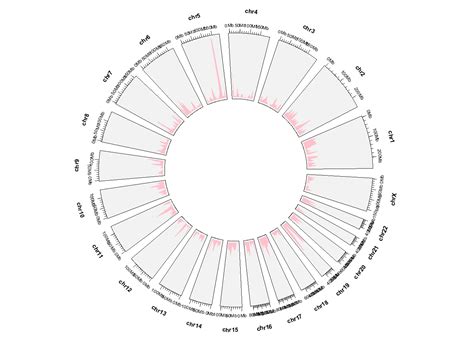 Chapter 5 Geom Genomic Track Layers Ggcirclize Reference Book