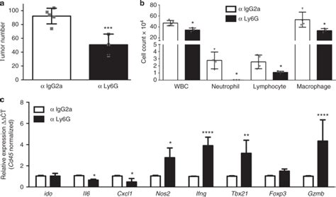 Sex Specific Function Of Epithelial Stat3 Signaling In Pathogenesis Of