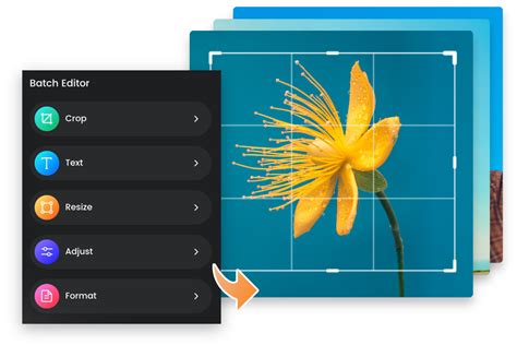 Easily Batch Crop Images Online Batch Image Cropper Fotor