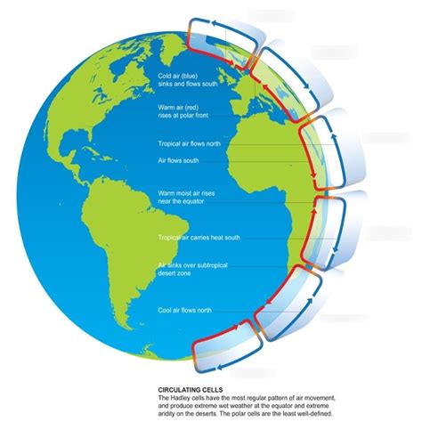 Diagram Of Global Circulation Patterns Quizlet Diagram Of Global Circulation Patterns Quizlet