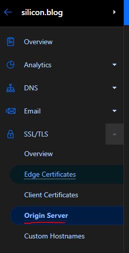 How To Combine Nginx Proxy Manager With Cloudflare To Access Your