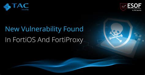 Unlocking Unparalleled Cybersecurity With Esof Vaca Next Gen Vulnerability Assessment Solutions