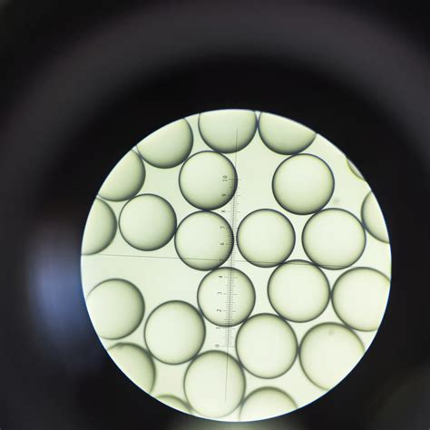 Use Image J For Fully Automatic Particle Size Measurement Image