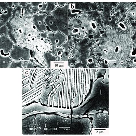 Pdf Effect Of Ni Content On Microstructure And Characterization Of Cu