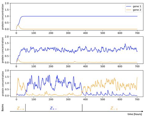 Example Of Trajectories Associated To The Symmetric Toggle Switch Download Scientific Diagram