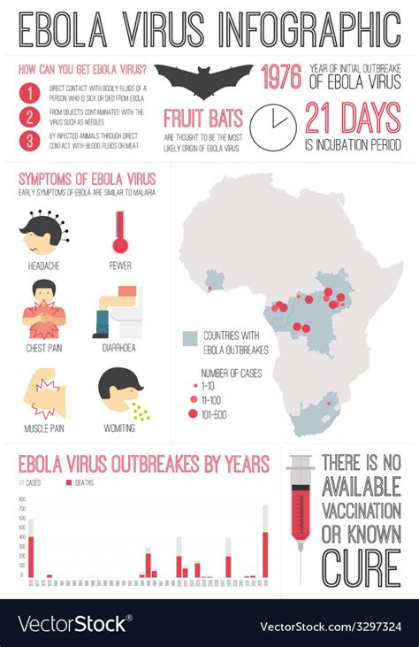 Ebola Virus Infographic Royalty Free Vector Image
