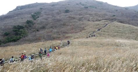 울산 영남알프스 상상의 숲 테마파크 2021년 조성