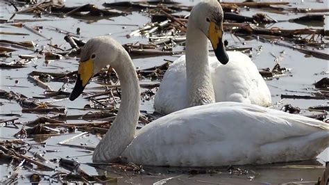 밥 먹어라 Youtube