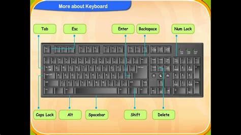 Parts Of Keyboard Grade 1