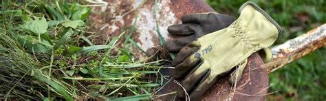 Average First And Last Frost Dates Nc State Extension