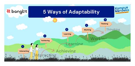 5 Ways Of Adaptability