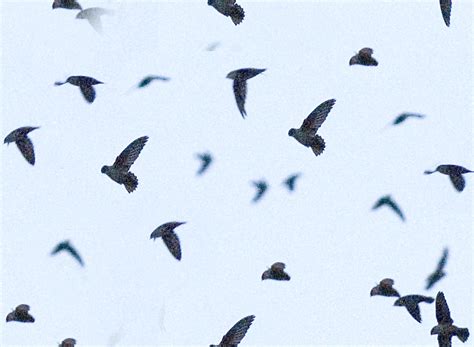 Building Texture Library Seemless Textures Unit 2 Materials Technique And Processes