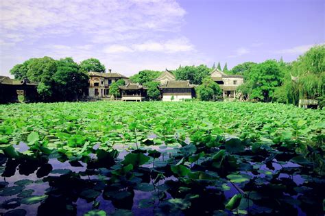 小莲庄图片 南浔镇 古镇 大山谷图库
