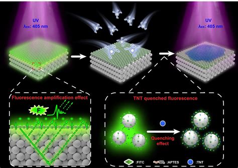 Trace Explosive Detection Based On Photonic Crystal Amplified Fluorescence Chen 2023
