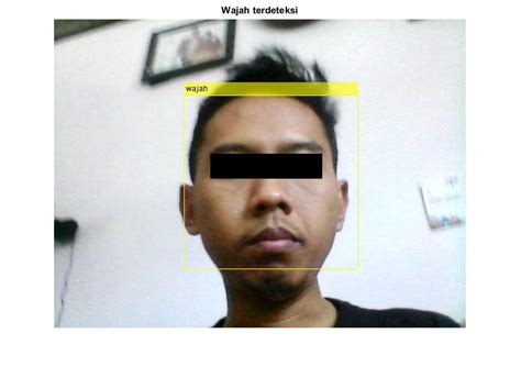 Face Detection Haar Cascade Classifier Softscients