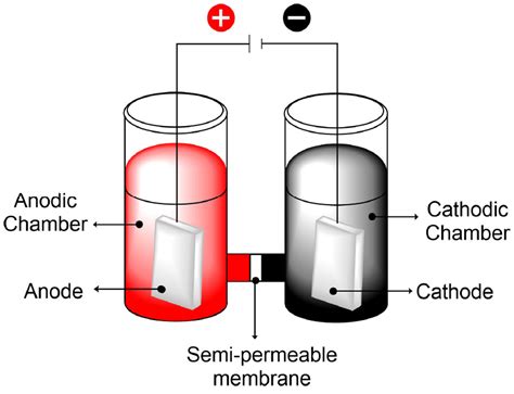 Electrosynthesis Reactions With Divided Cells Unlocking Potentials In