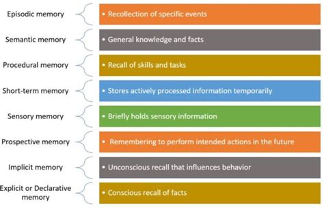 Types Of Memory In Psychology Human Peritus