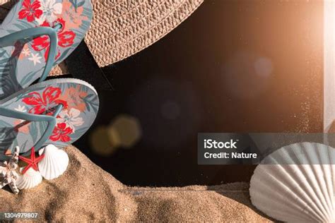 안녕하세요 여름 불가사리 조개 장난감 비행기 및 바다 자연 해변의 칠판 근처 지구 여름 방학 및 제품 광고 개념 개념에 대한 스톡 사진 및 기타 이미지 Istock