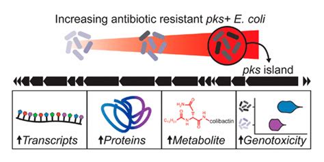 多粘菌素耐药性的进化调节大肠杆菌大肠杆菌素的产生 Acs Chemical Biology X Mol