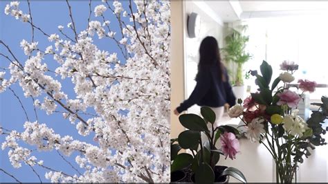 앤비 Vlog 빵과 스프가 있는 아침 Youtube