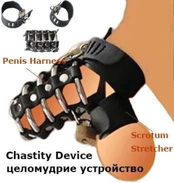 Lynxsecret Leather Male Cock Ball Chastity Harness From Zhengrui03