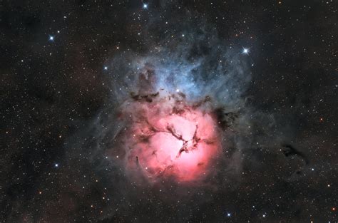 The Trifid — Aapod2 Com