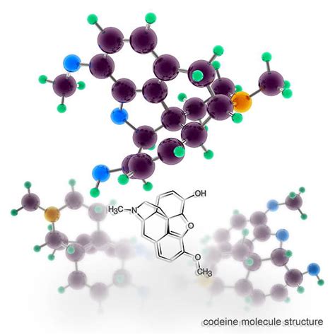 Kodeina Ilustrasi Foto Stok Potret And Gambar Bebas Royalti Istock