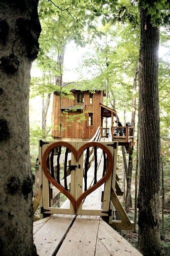 Magical Tree House Rental In The Woods Near Syracuse For Glamping Lafayette New York