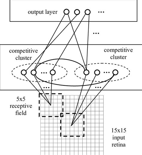the model for perceptual learning only some of the connections are