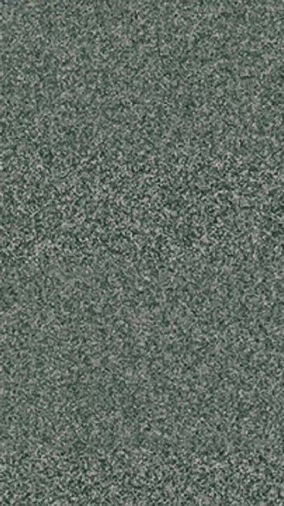 C Programming Tutorialshortsviraljavapythoncsscoding