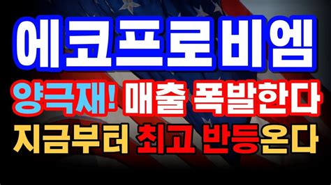 에코프로비엠 양극재 매출 폭발한다 지금부터 최고 반등온다 에코프로비엠주가 에코프로비엠주가전망 에코프로비엠전망 Youtube