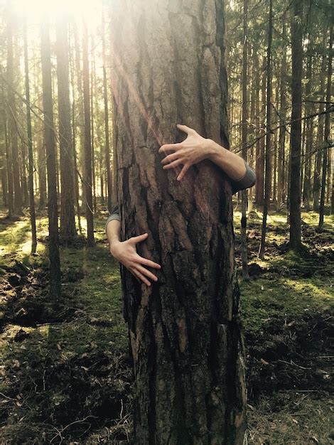 Premium Photo Man Hugging Tree In Forest