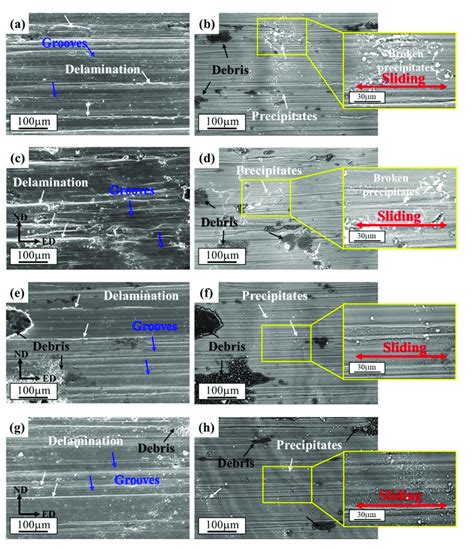 Sem Morphologies Of Worn Surfaces After Friction Testing In Different Download Scientific