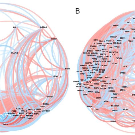 The Correlation Network Of The Expressed Genes By Using Gse15932 And